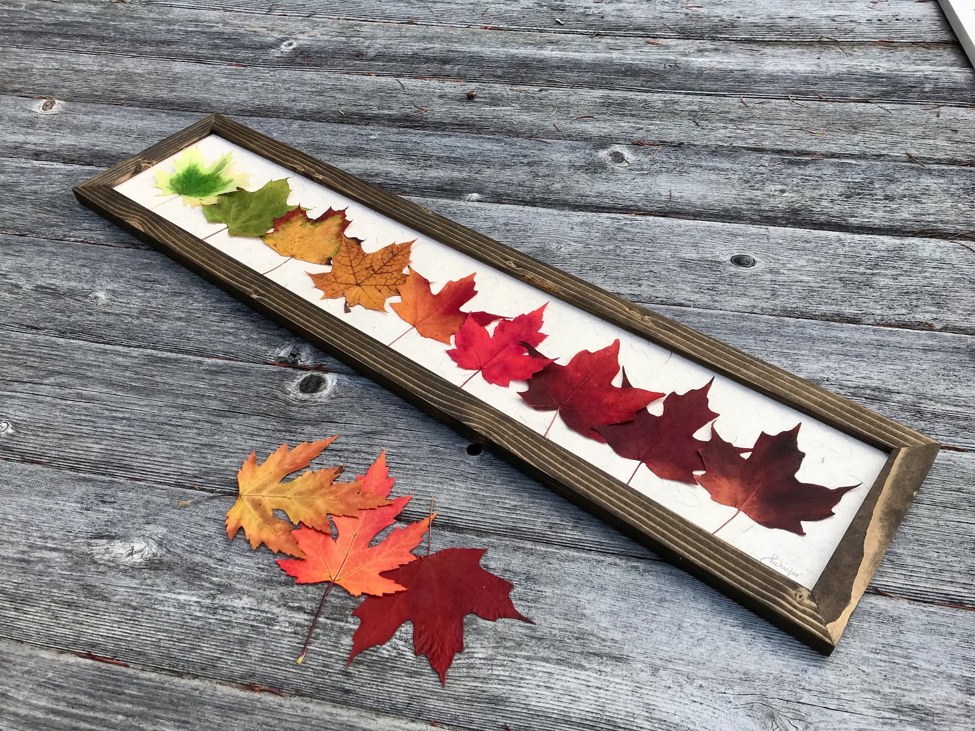 Real Pressed Rainbow Maple Leaf Framed Picture by Pressed | Etsy Canada