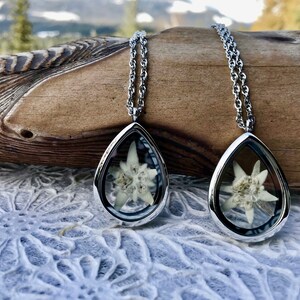 Real Pressed Edelweiss Locket | Romantic Flower of the Alps Silver ...