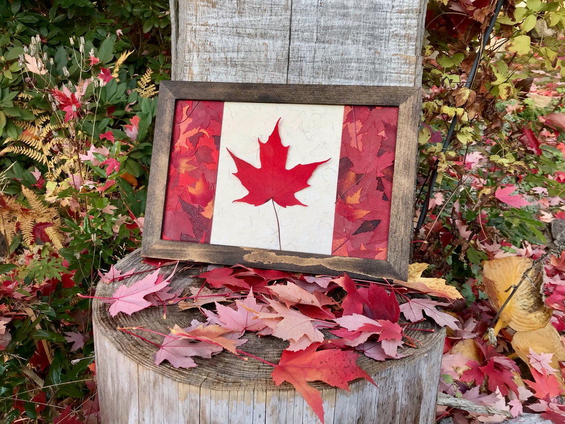 Maple Leaf Picture Real Pressed Red Maple Leaf Framed Artwork | Etsy