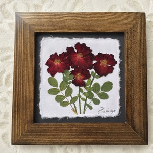 Real Pressed Red Rose Framed Picture Artwork Valentines Gift | Pressed ...