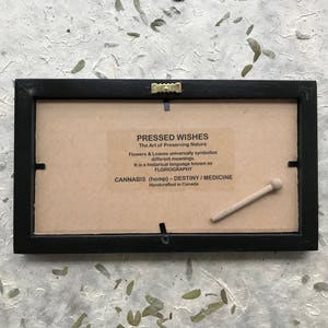 Real Pressed Cannabis Leaf Framed Signed ORIGINAL Artwork Flag; Black ...