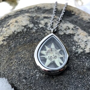 Real Pressed Edelweiss Locket | Romantic Flower of the Alps Silver ...