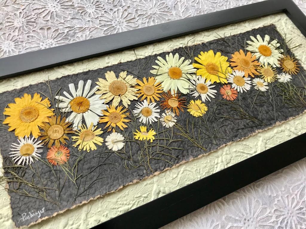Real Pressed Daisy Framed Picture Artwork by Pressed Wishes - Etsy
