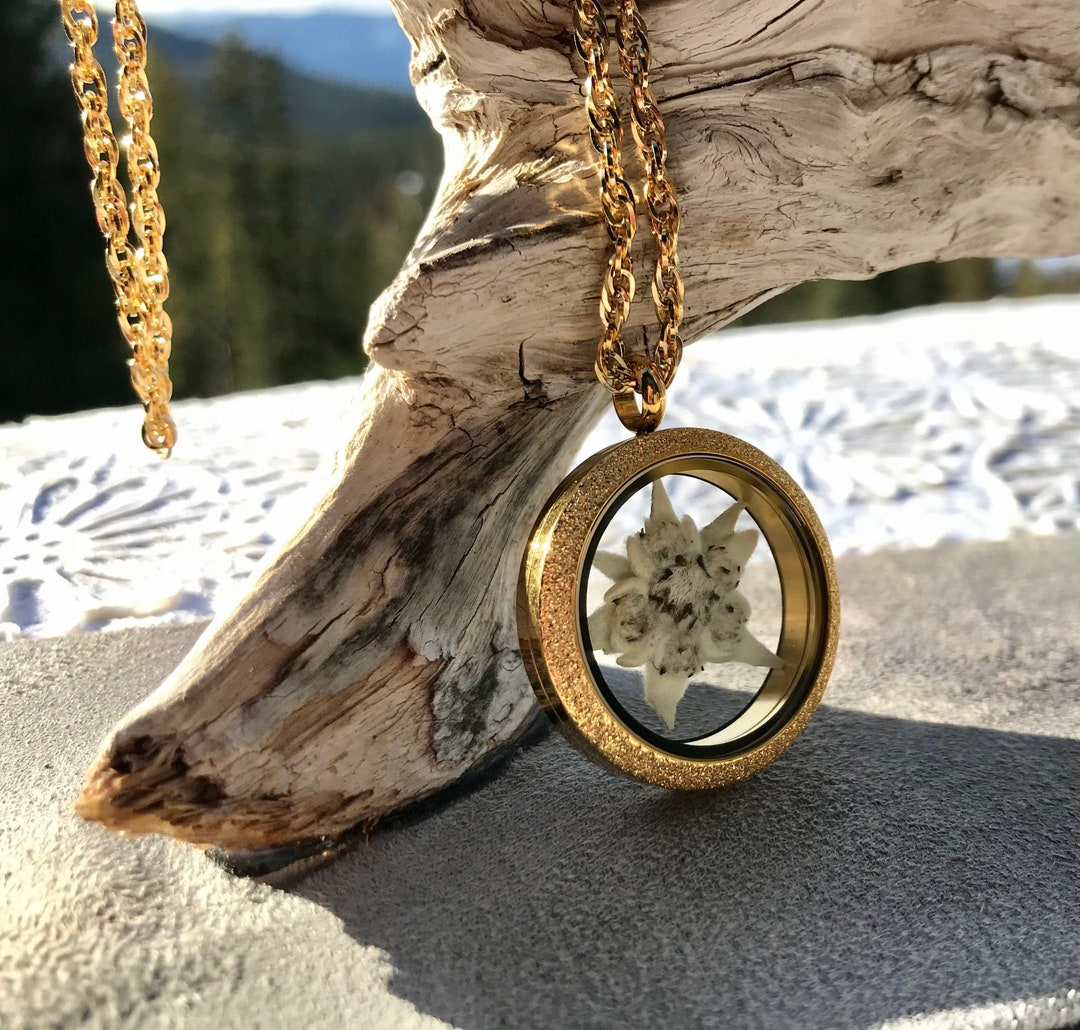 Edelweiss Circle Locket, Real Pressed Alpine White Flower Locket ...