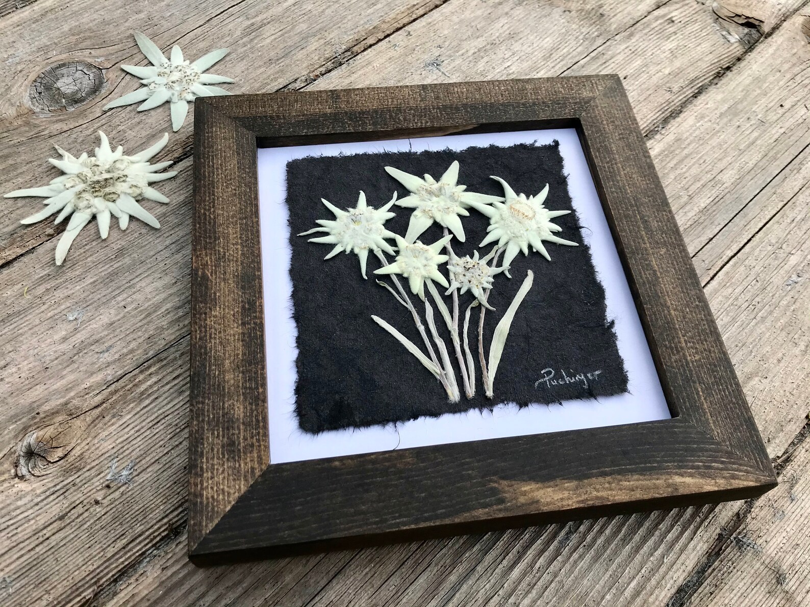 White Edelweiss Flower Framed Artwork Picture with White | Etsy