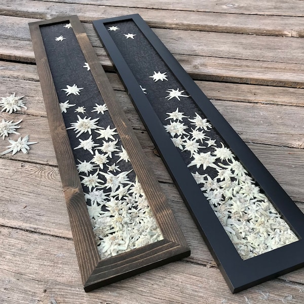 Edelweiss Wall Art - Etsy