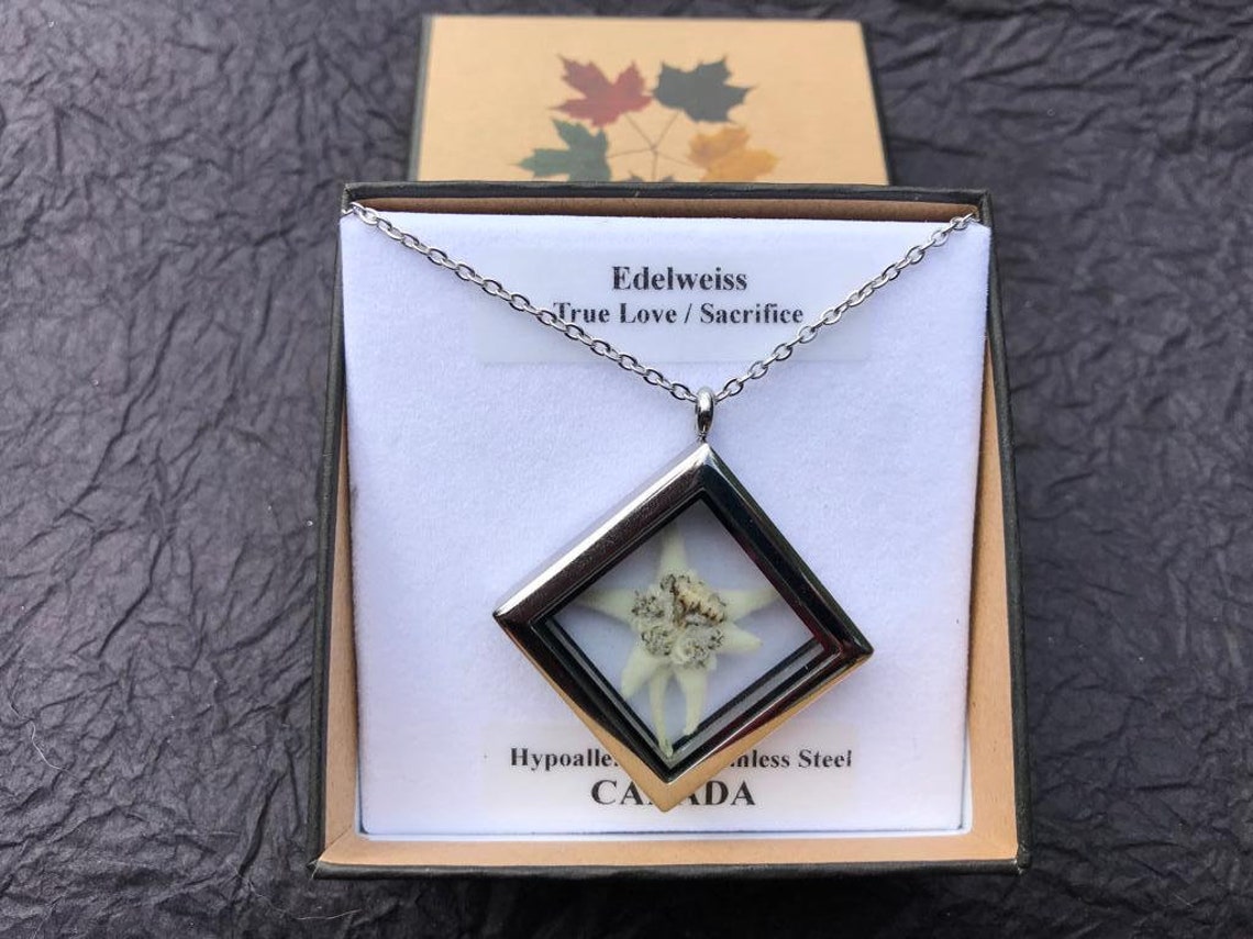 Pressed Edelweiss Diamond Locket Necklace Silver Stainless - Etsy Canada