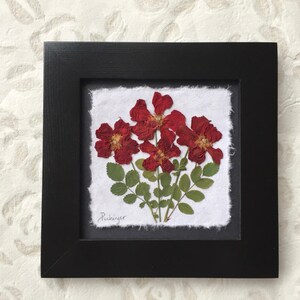 Real Pressed Red Rose Framed Picture Artwork Valentines Gift | Pressed ...