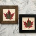 REAL Pressed Cannabis Leaf Imposed on a Maple Leaf Framed SIGNED ...