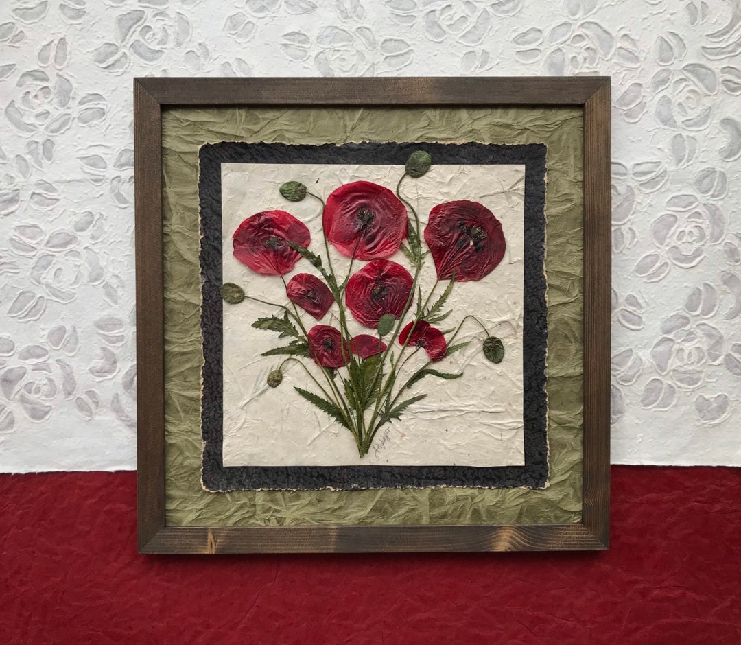 Framed Flanders Poppy Artwork: Signed Original Pressed Flower Art - Etsy