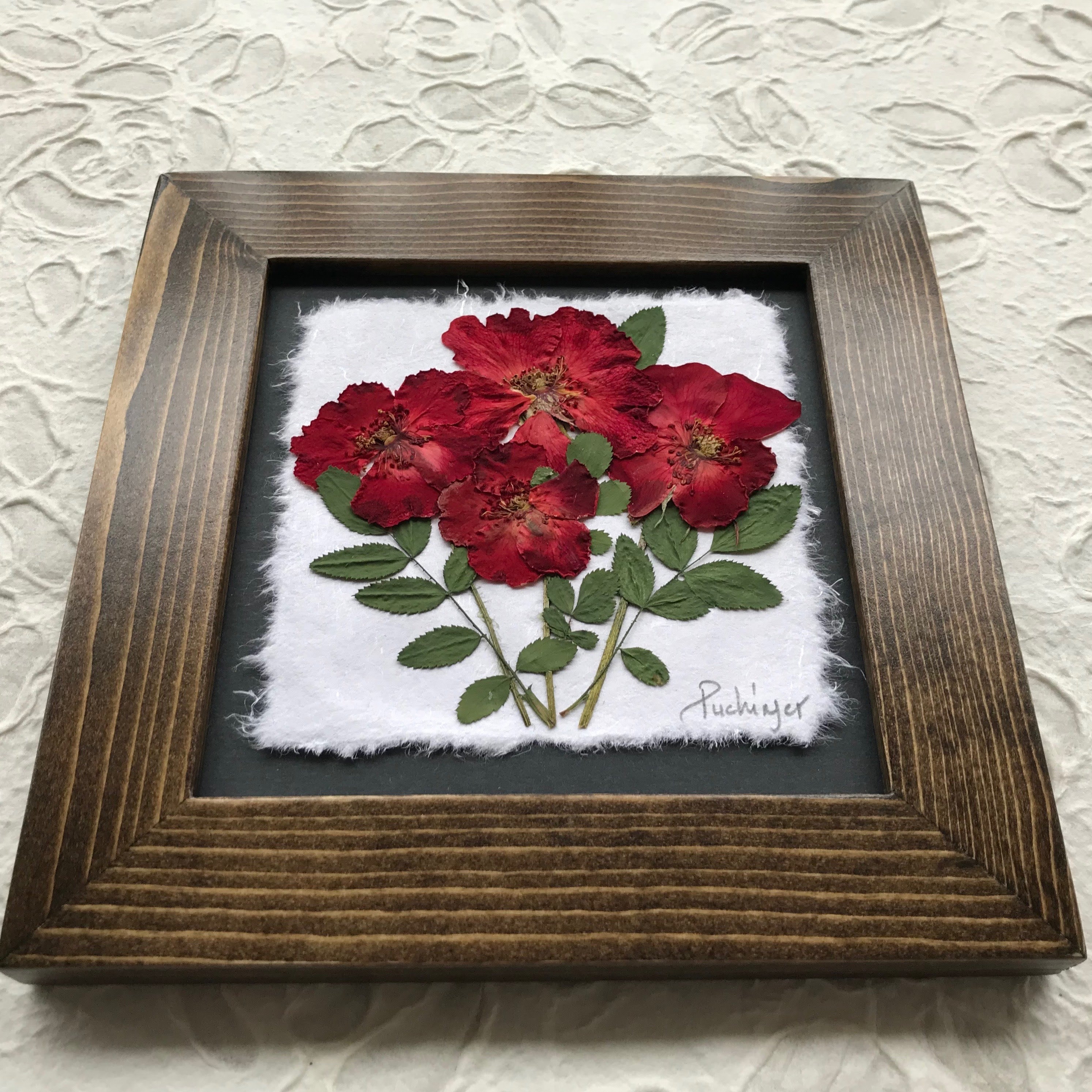 REAL Pressed Red Rose Framed SIGNED ORIGINAL Picture Dried - Etsy Canada