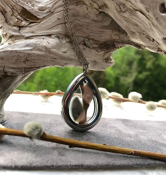 Real Pussy Willow Teardrop Locket Necklace Pressed Botanical - Etsy