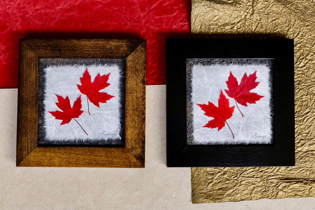 Framed Pressed Maple Leaf Art: Signed Original Canadiana Decor - Etsy