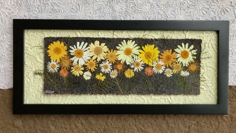 Real Pressed Daisy Framed Picture Artwork by Pressed Wishes - Etsy