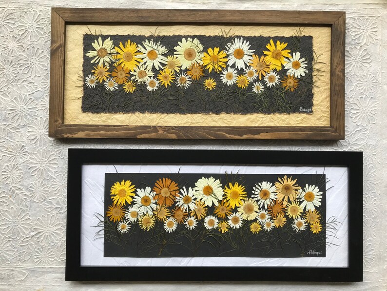 Real Pressed Daisy Framed Picture Artwork by Pressed Wishes - Etsy
