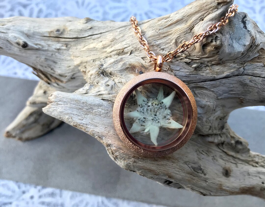 Dried Edelweiss Locket, Rose Gold Plated Circle Locket With Real ...