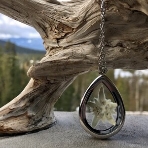 Real Pressed Edelweiss Locket | Romantic Flower of the Alps Silver ...