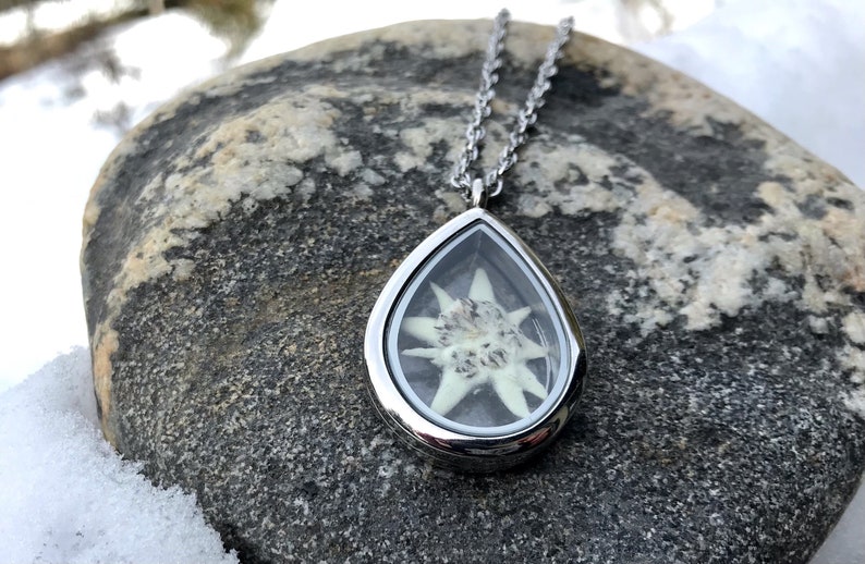 Dried Edelweiss Flower Locket Necklace German Bavarian Swiss - Etsy