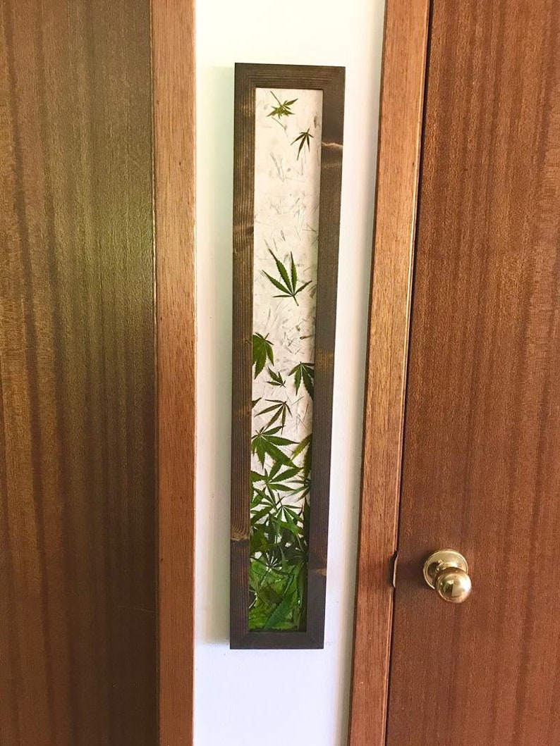Real Pressed Cannabis Leaf SKINNY Framed Picture Framed | Etsy