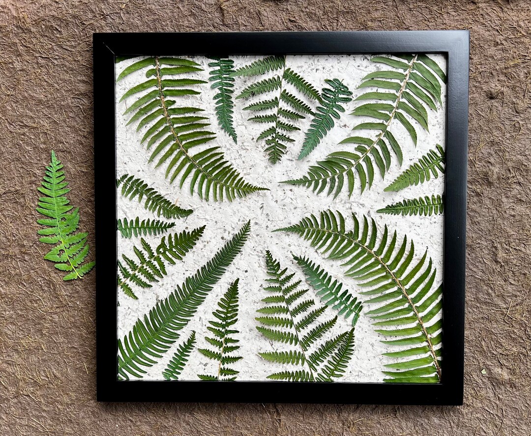 Pressed Fern Picture, Large Wall Art Framed Fern Arrangement Wall Art ...
