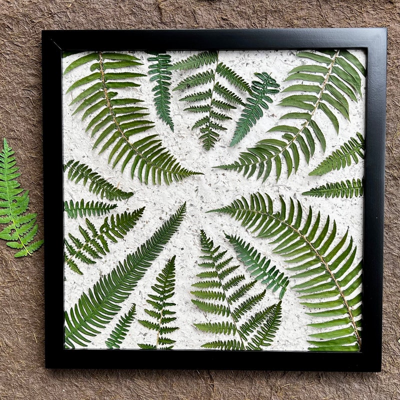 Fern Art - Etsy