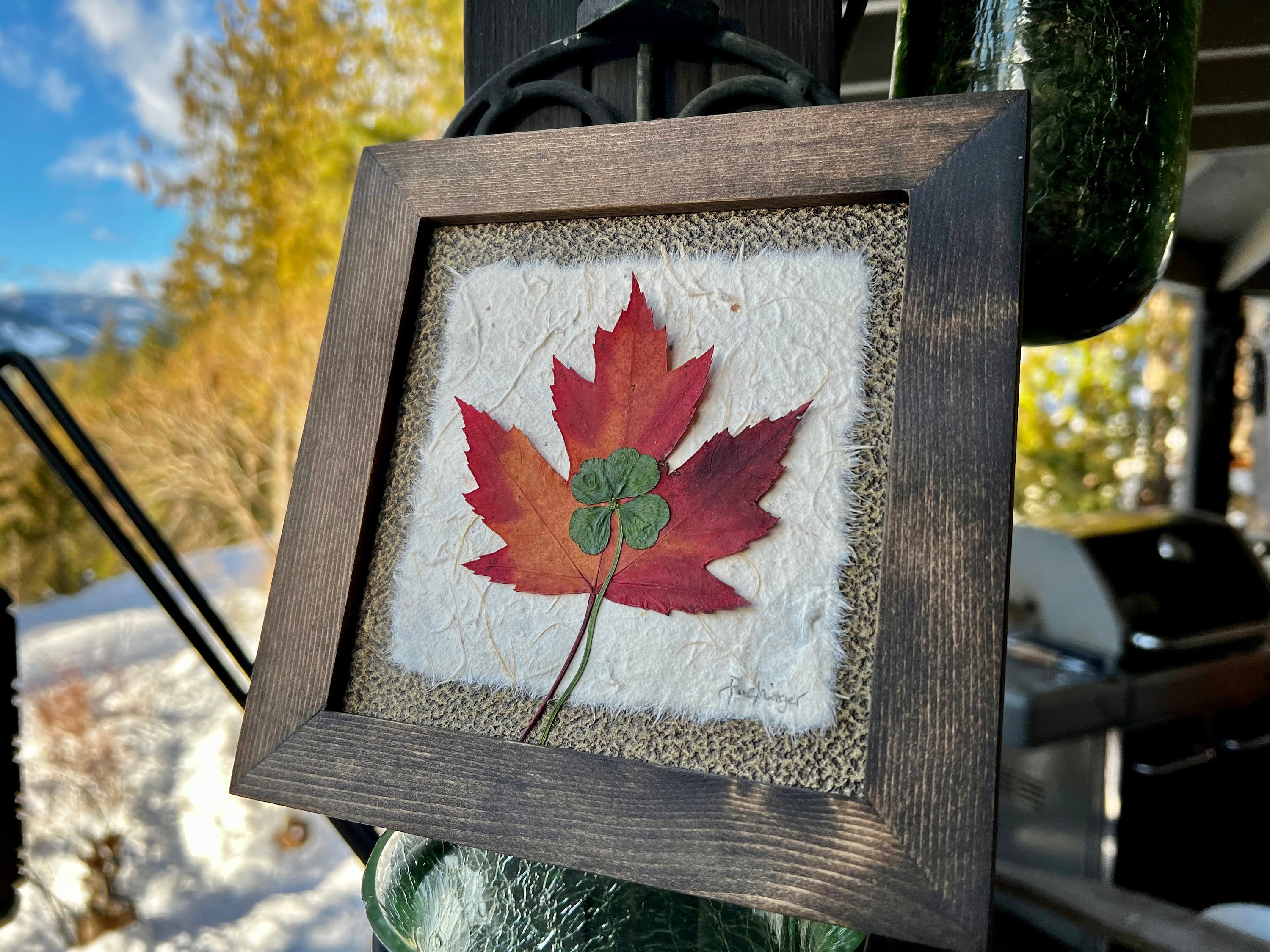 Real Canadian Maple Leaf