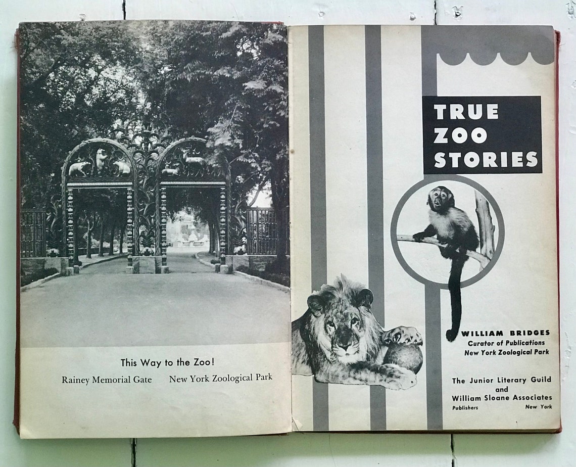 True Zoo Stories 1948 First Edition, First Printing Children's Book by ...