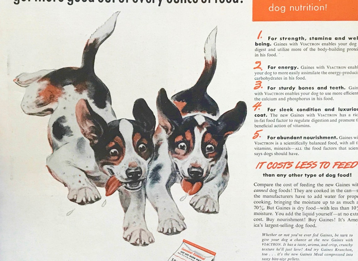 1948 Beagle Dogs Gaines Dog Food Magazine Advertisement - Etsy