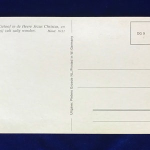 Sheltie Dog & Puppies Vintage Photo Postcard West Germany - Etsy