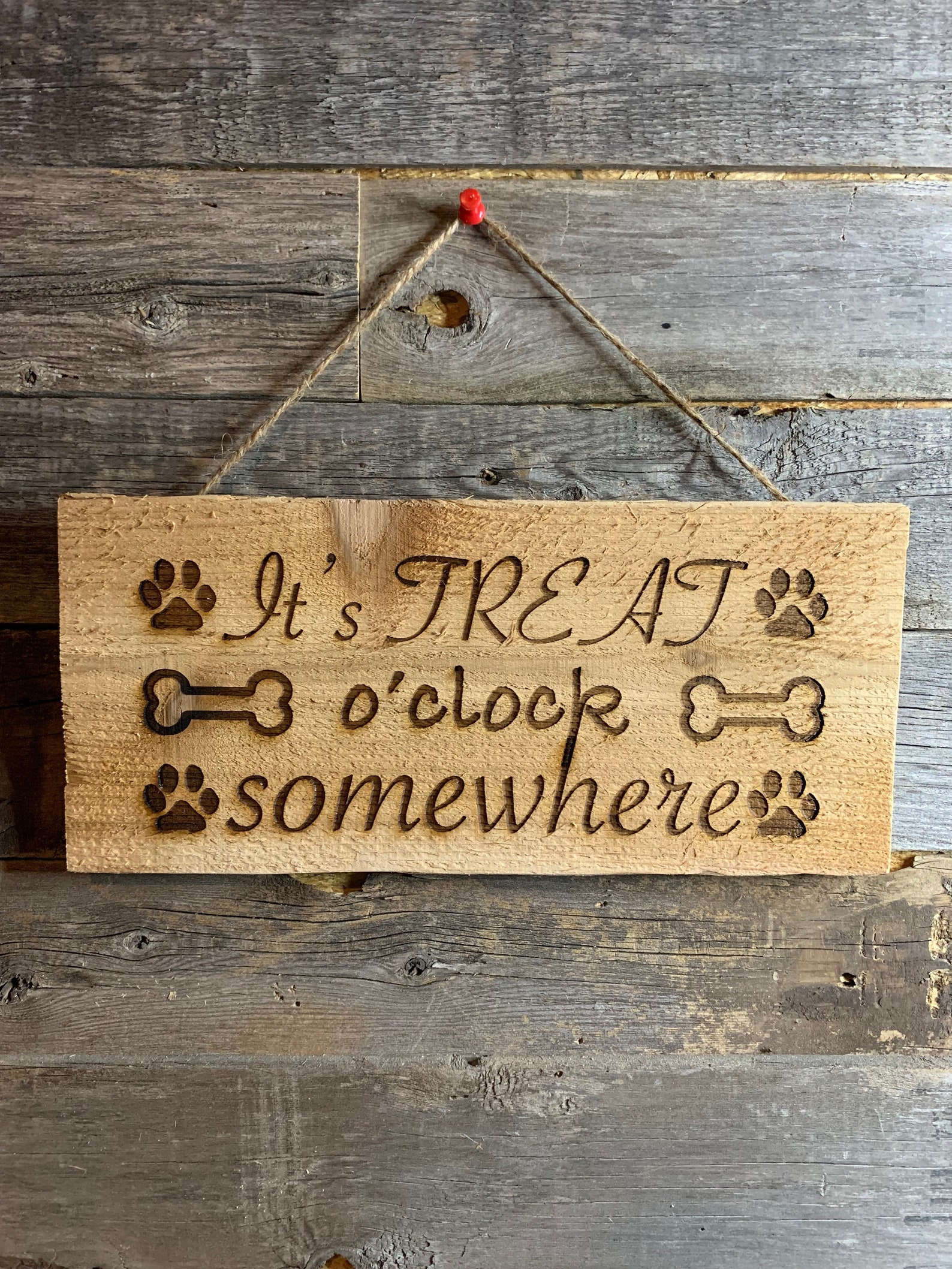 Laser Engraved Pet Signs - Etsy