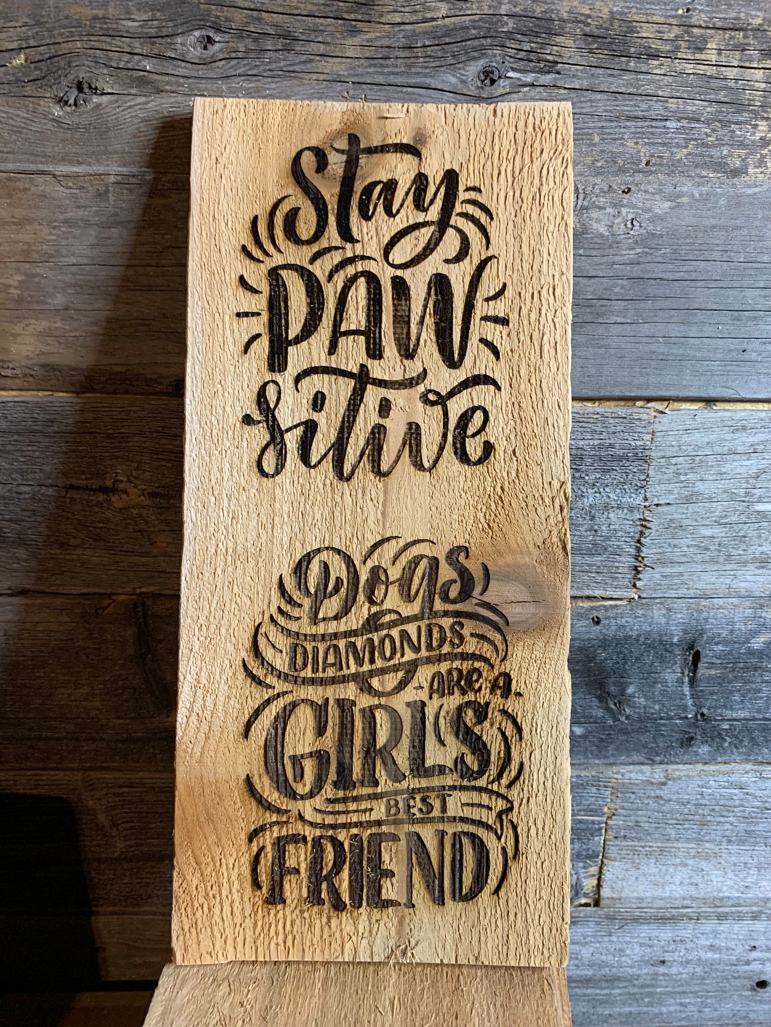 Laser Engraved Pet Signs - Etsy