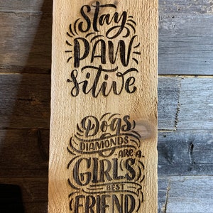 Laser Engraved Pet Signs - Etsy