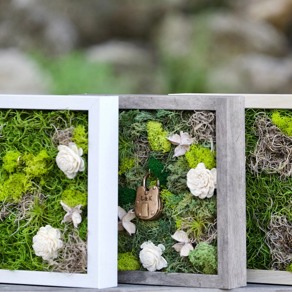 Air Plant Frame - Etsy