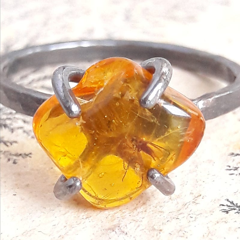 Amber With Insect - Etsy