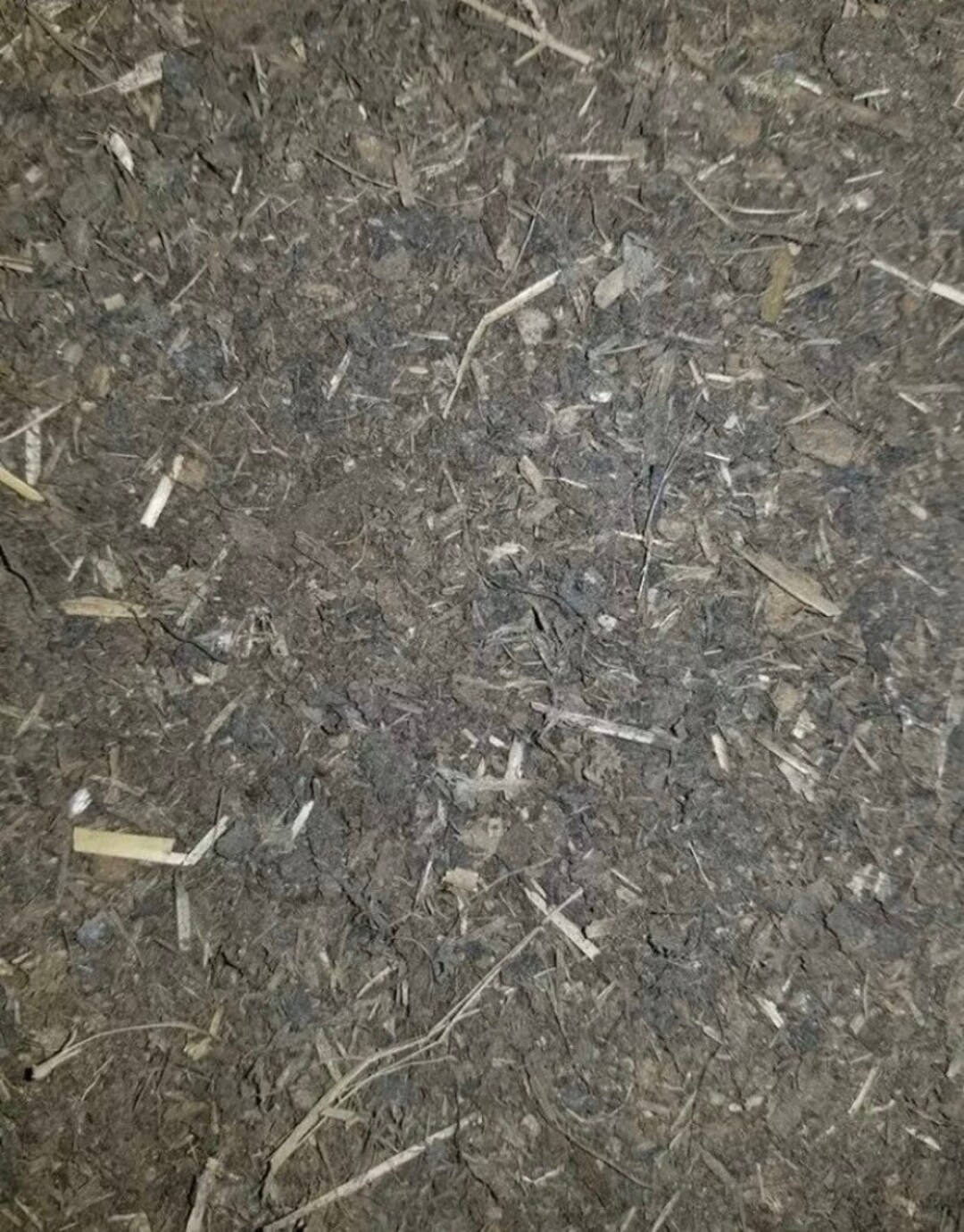 Organic Horse Manure Compost 3 Gallons Fertilizer Rock Woods Farm ...