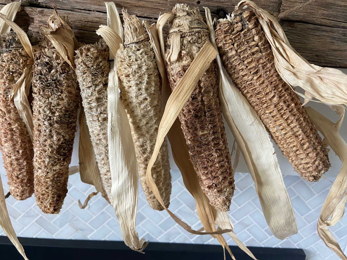 Indian Corn Cob Garland Cobs & Husks Primitive Farmhouse | Etsy
