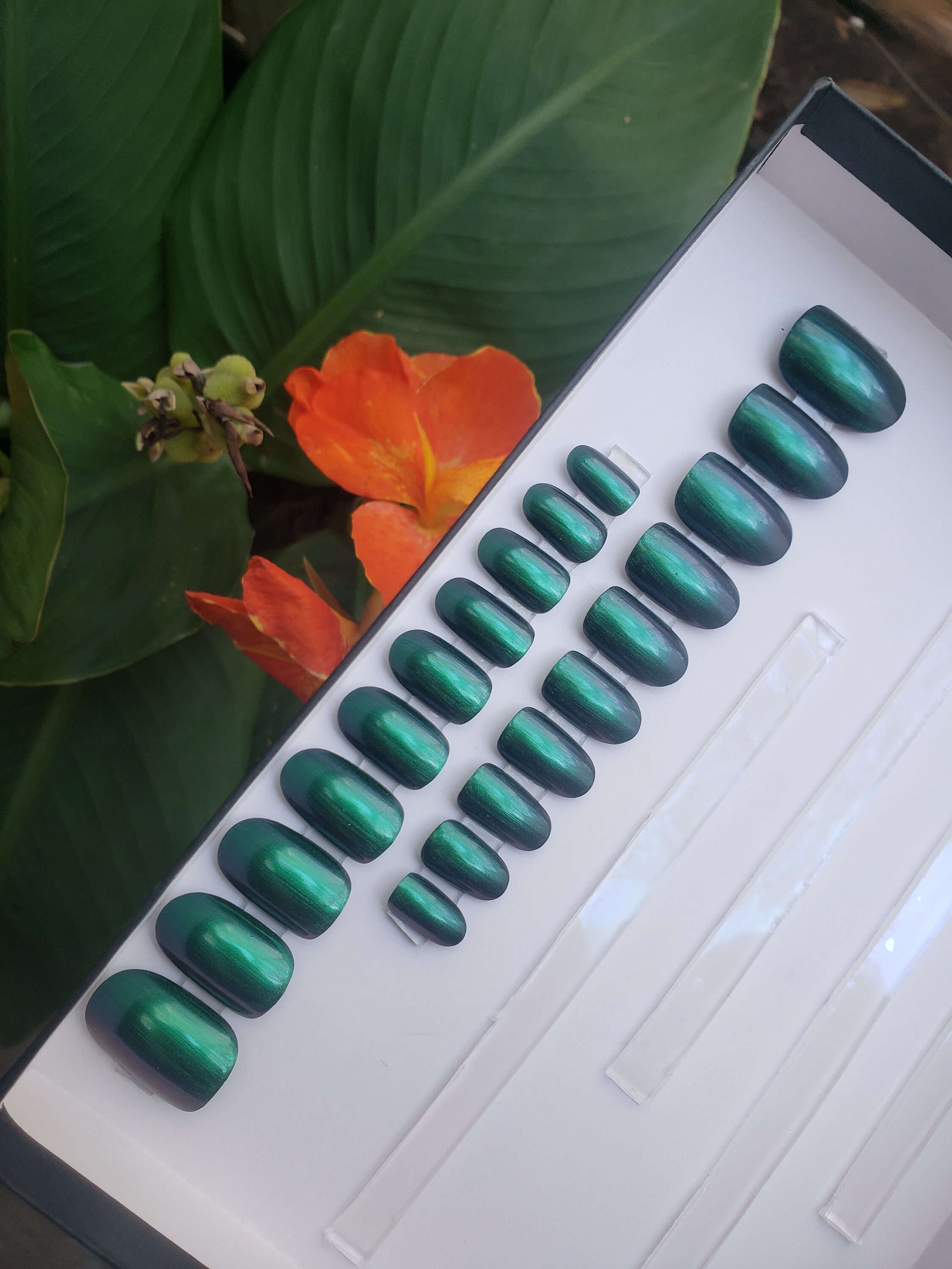 Dragon Scales || False Nails, Set of 20 || Tools for Application ...