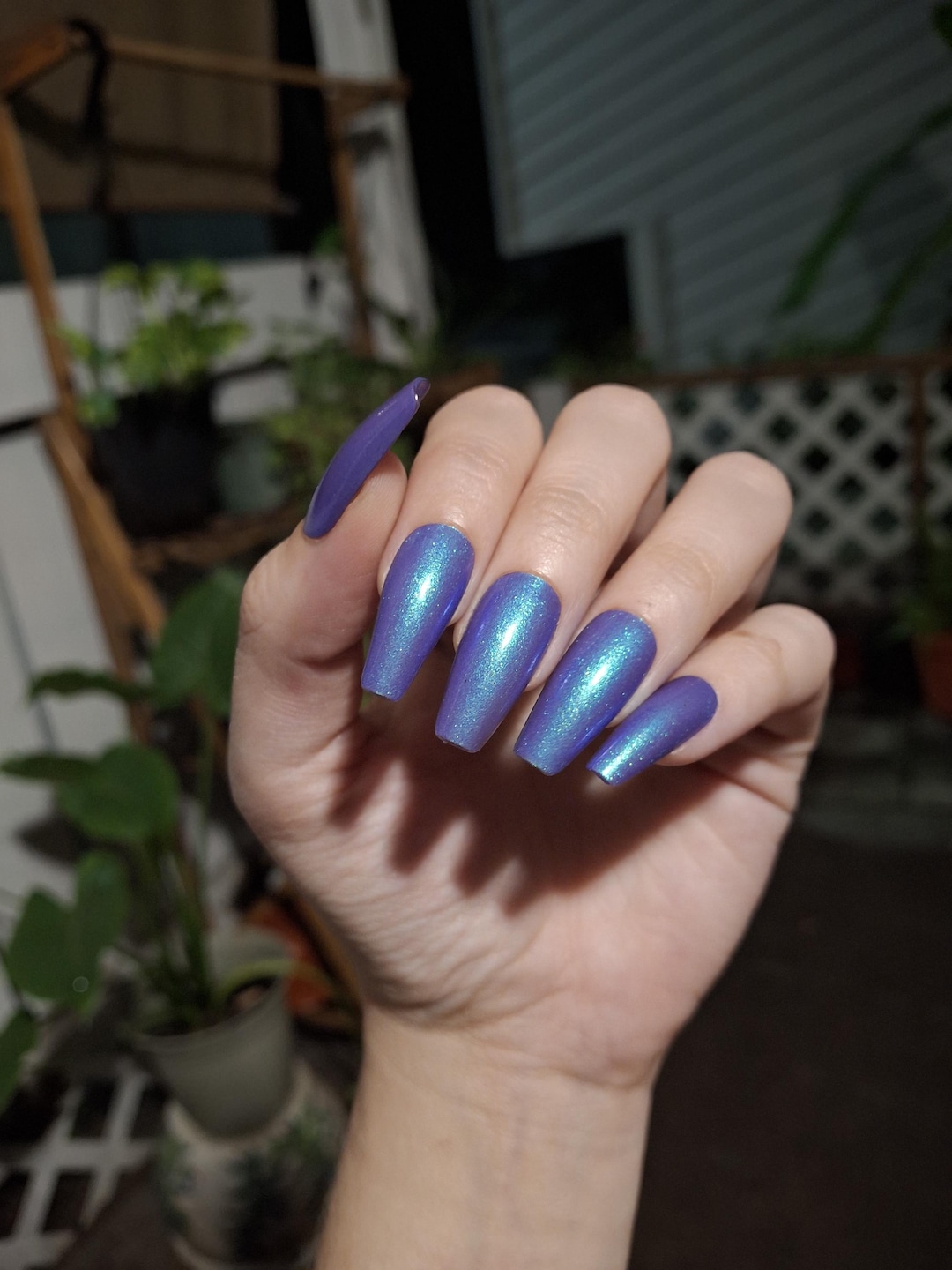 Siren Scales || False Nails, Set of 20 || Tools for Application ...