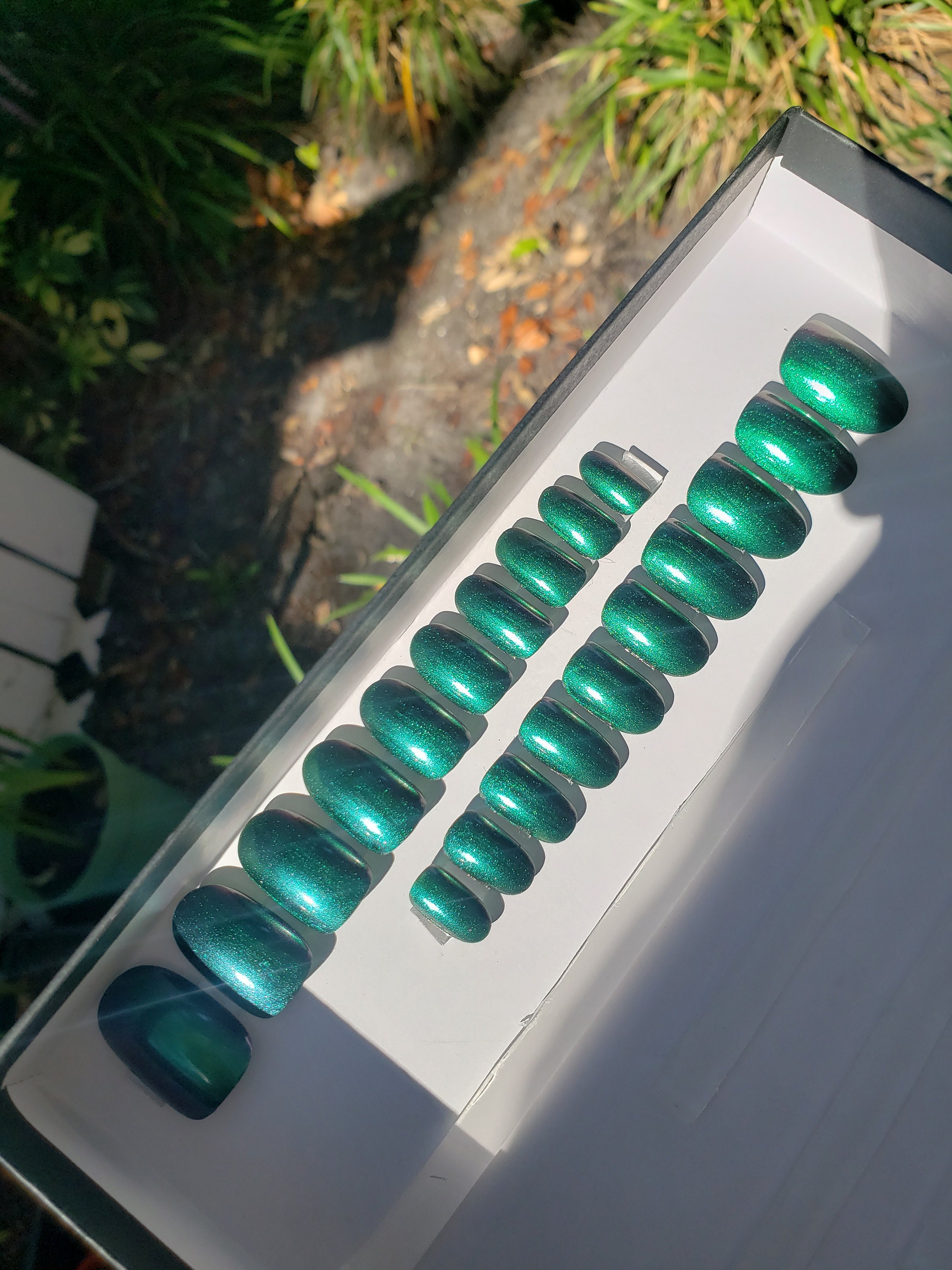 Dragon Scales || False Nails, Set of 20 || Tools for Application ...