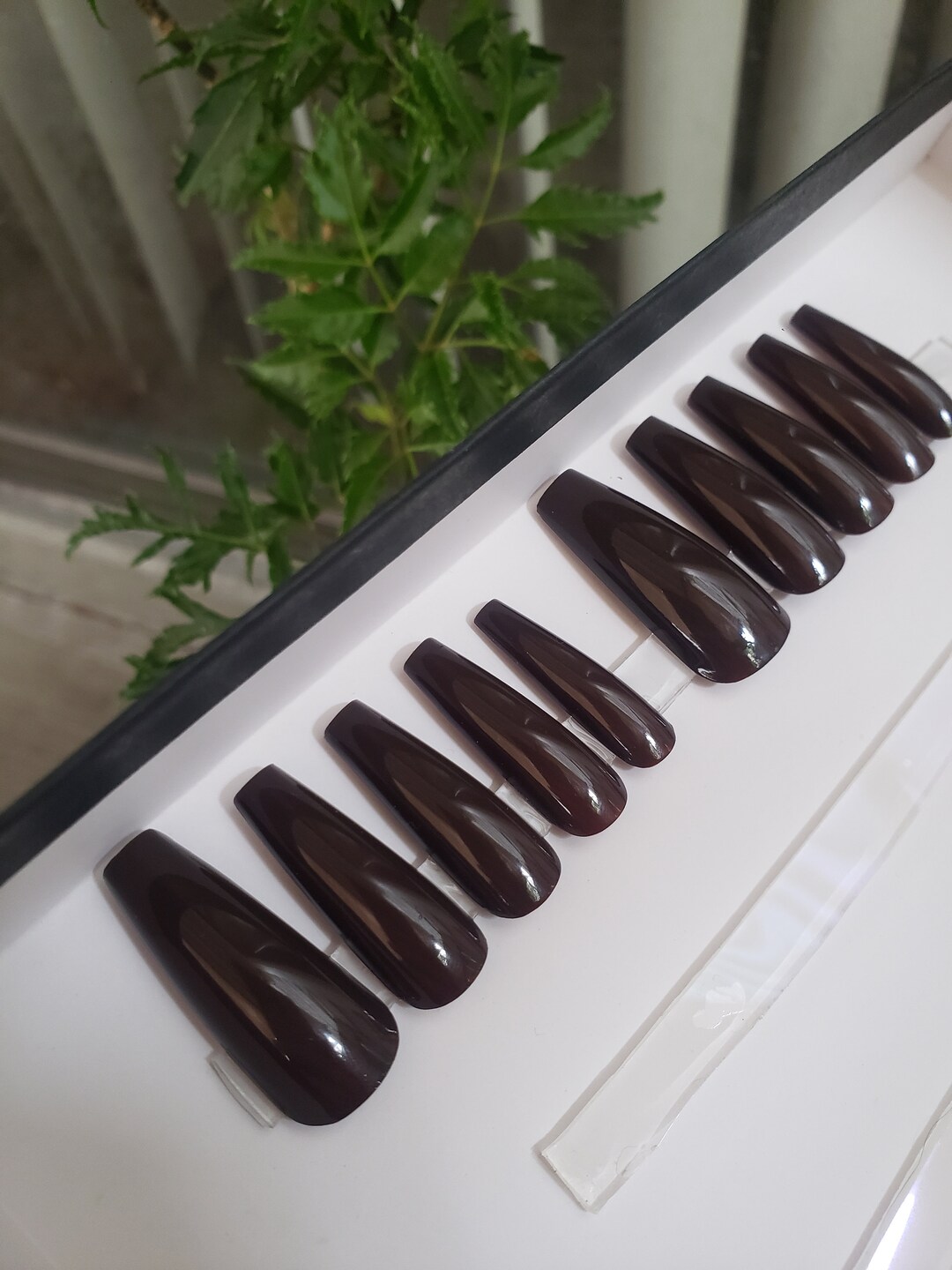 Cacao Bean || False Nails, Set of 20 || Tools for Application Included ...