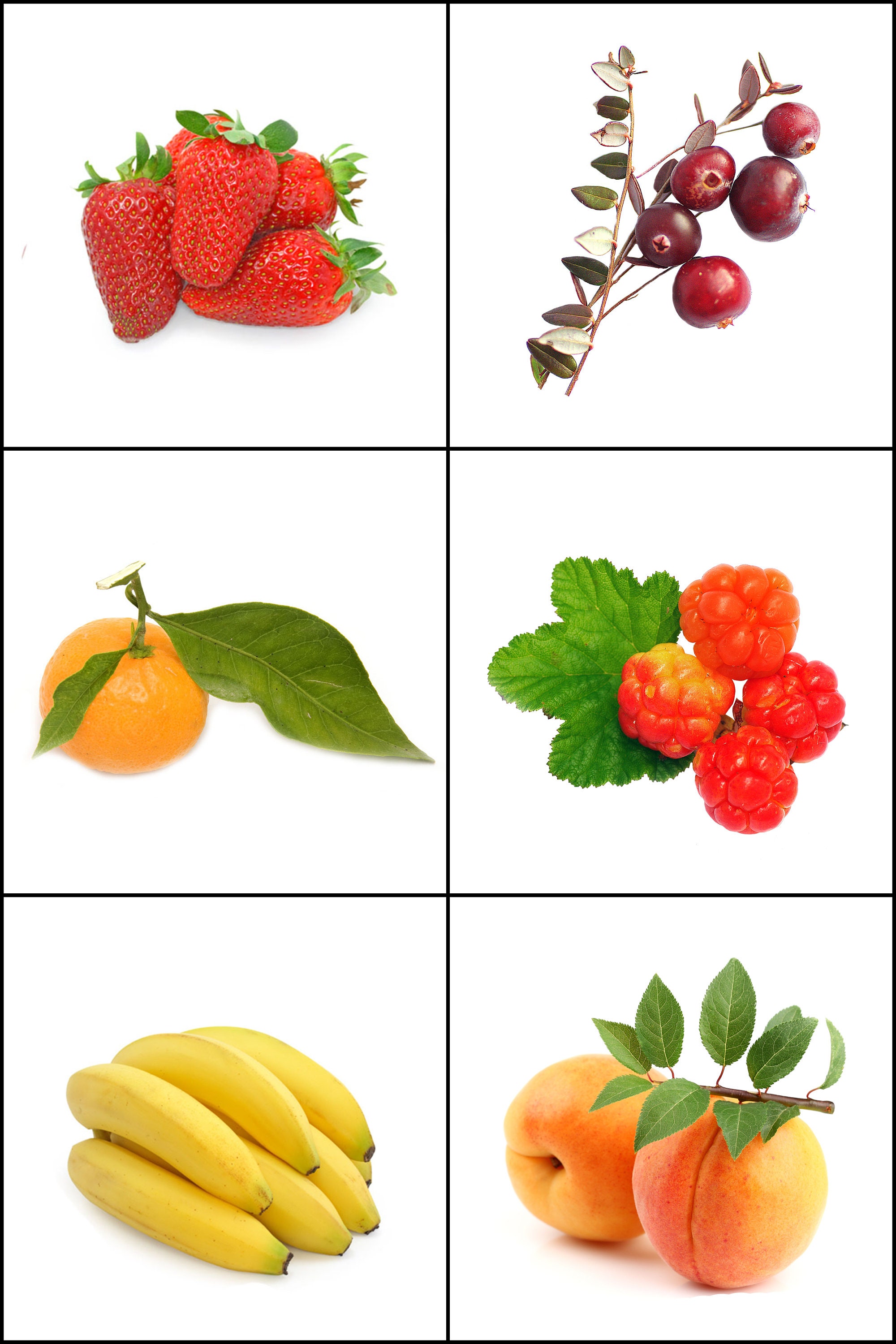 18 Flash Card With Fruit Real Photo, Printable PDF, Home School ...