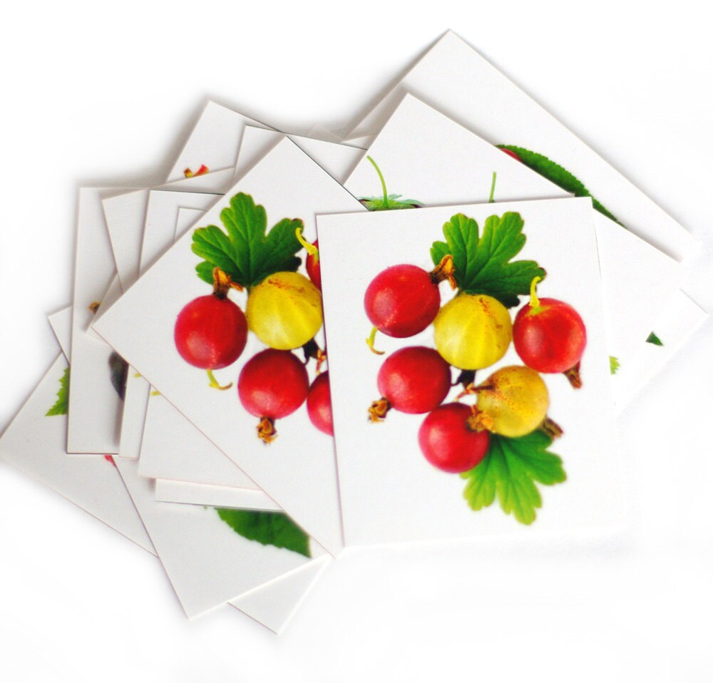 Montessori Memory Game Instant Download, Berry Memory, Berry Pictures ...