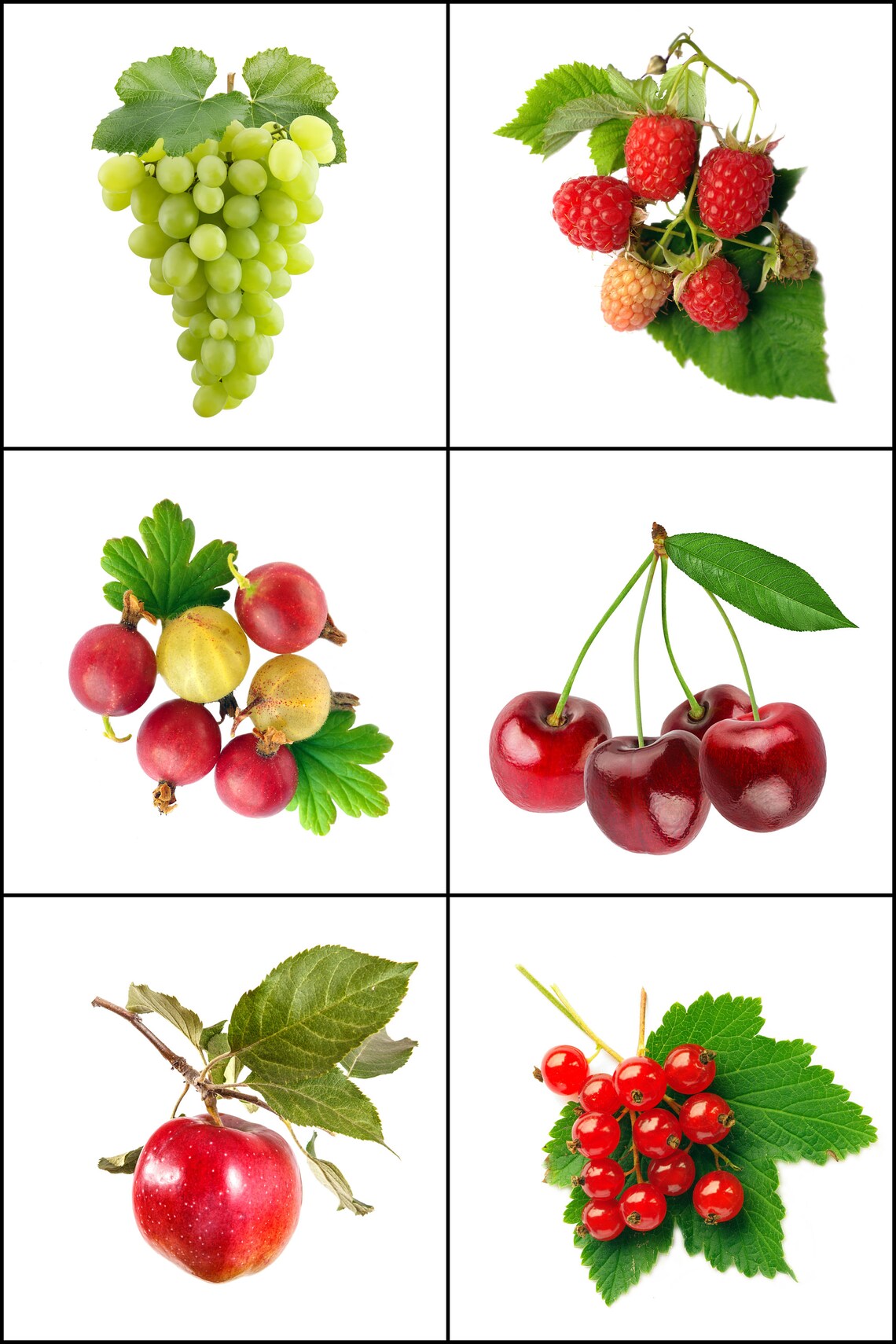 18 Flash Card With Fruit Real Photo, Printable PDF, Home School ...
