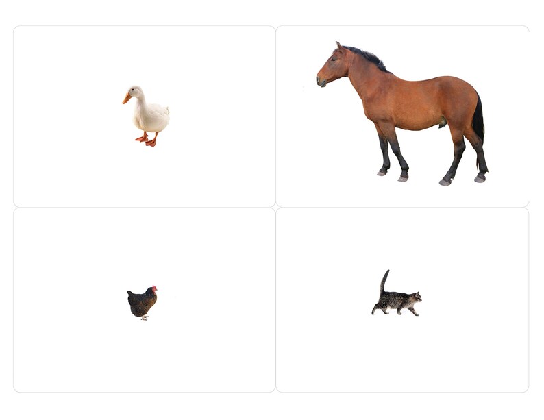 Farm Animals 20 Picture Cards, Printable Cards Preschool, Montessori ...