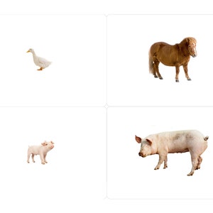 Farm Animals 20 Picture Cards, Printable Cards Preschool, Montessori ...