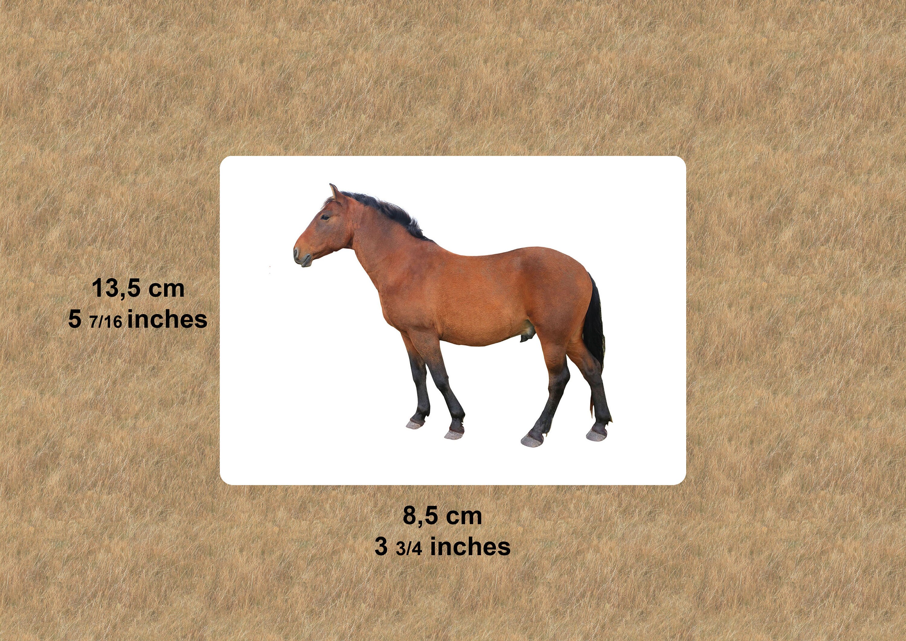 Farm Animals 20 Picture Cards, Printable Cards Preschool, Montessori ...