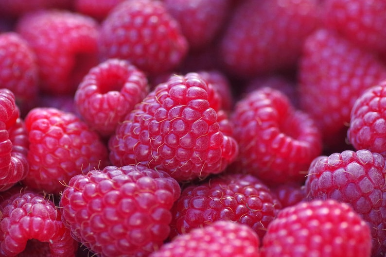 Berry Photography Digital Download, Raspberry Photo, Home Decor, Wall ...