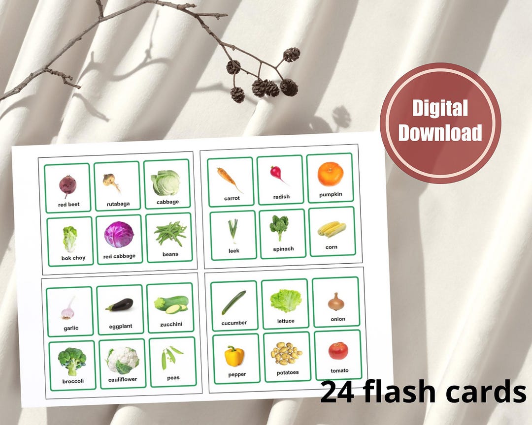 Real Photo Vegetable Learning Cards - Educational Flashcards for Kids ...