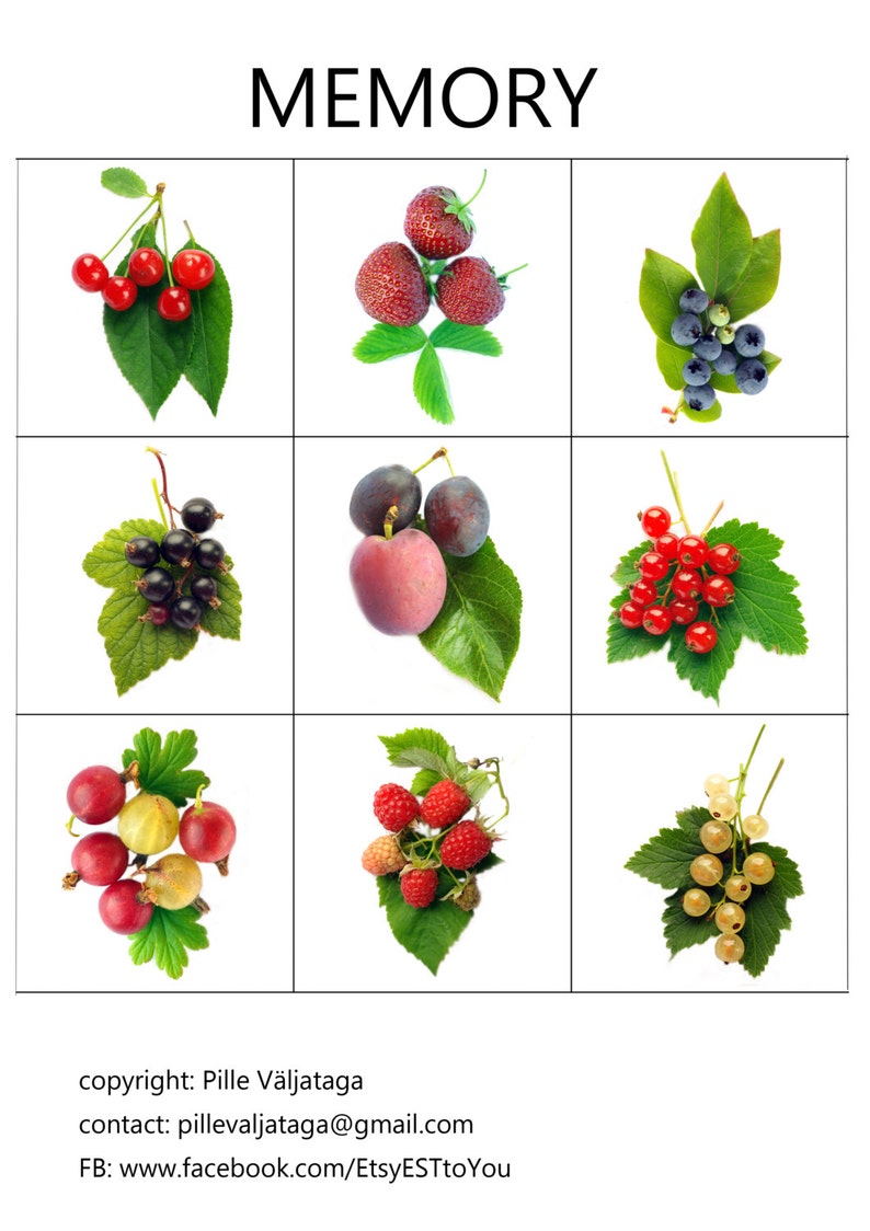 Montessori Memory Game Instant Download, Berry Memory, Berry Pictures ...
