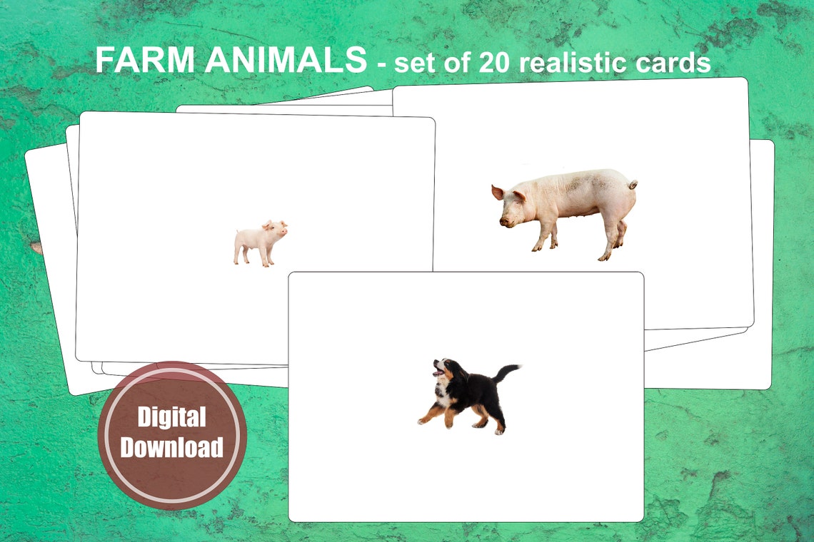 Farm Animals 20 Picture Cards, Printable Cards Preschool, Montessori ...